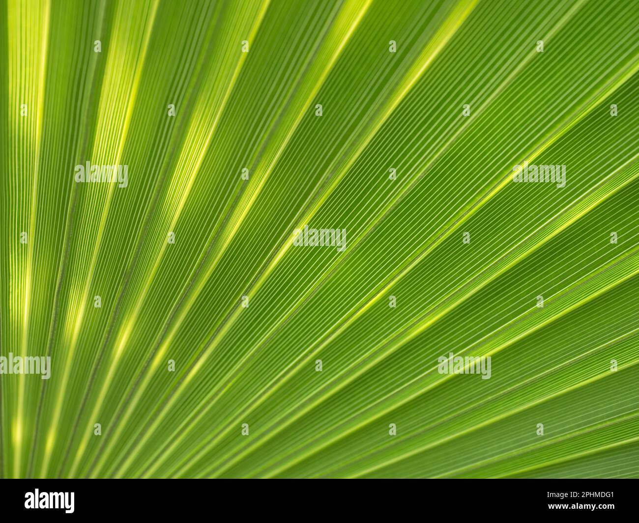 Due to its subtropical climate, diverse topography and many ...