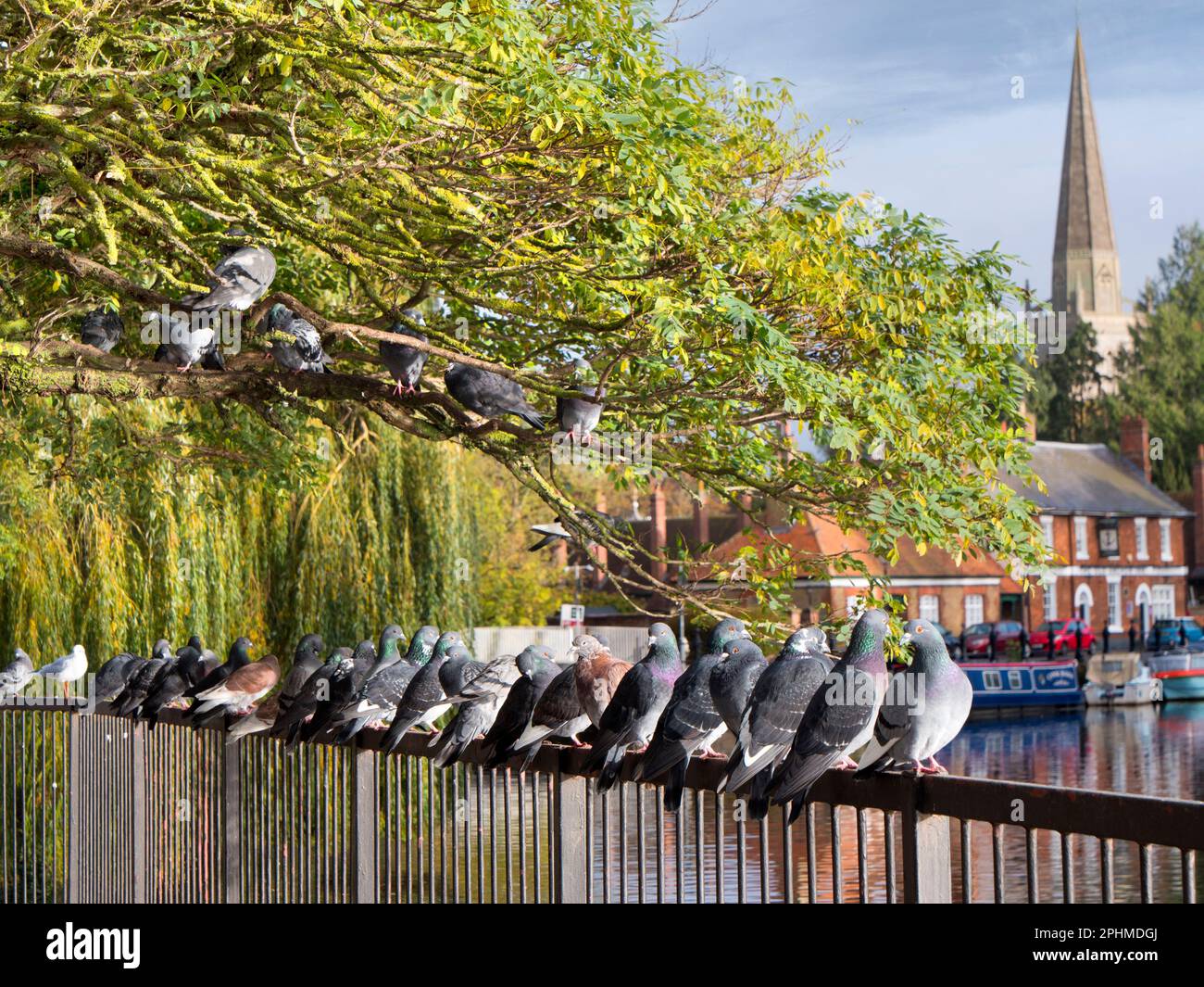 Saint Helen's Wharf is a noted beauty spot on the River Thames, just ...