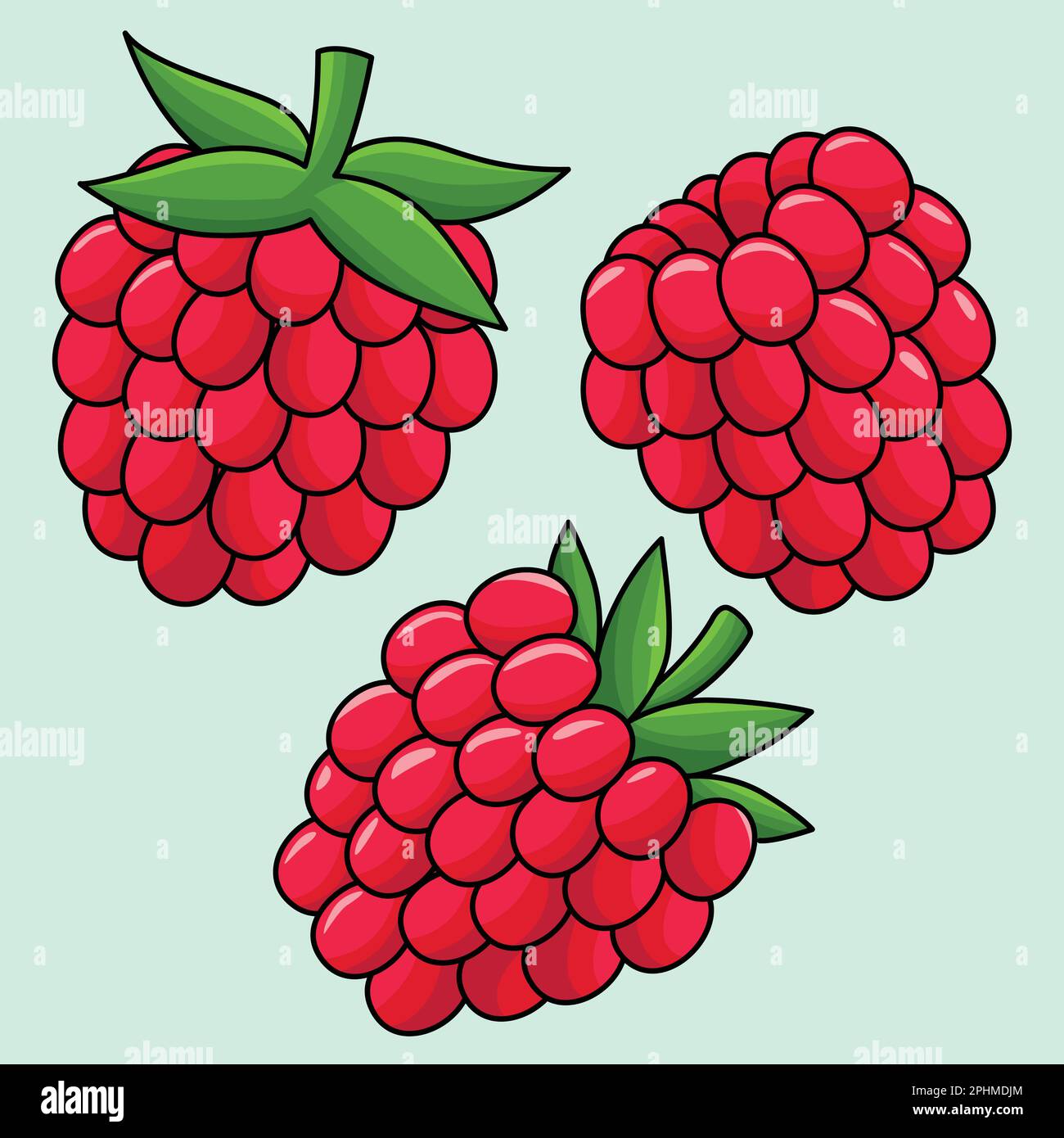 Raspberry Fruit Colored Cartoon Illustration Stock Vector Image & Art ...