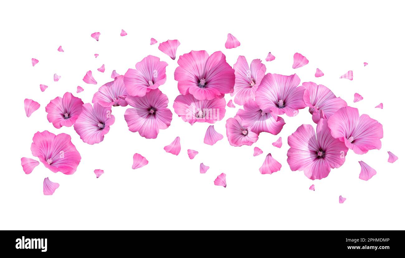 Scatter bouquet hi-res stock photography and images - Alamy