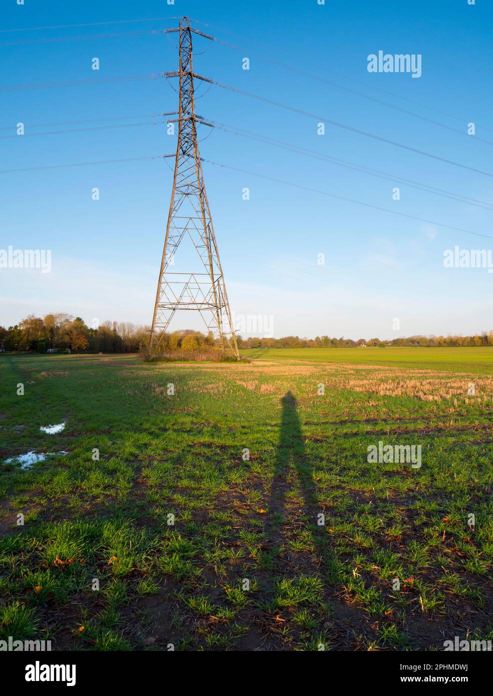 I love electricity pylons; I find their abstract, gaunt shapes ...