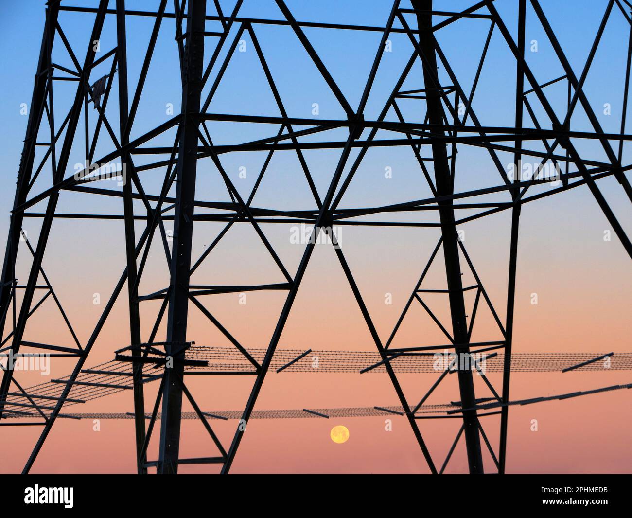 I love electricity pylons; I find their abstract, gaunt shapes ...
