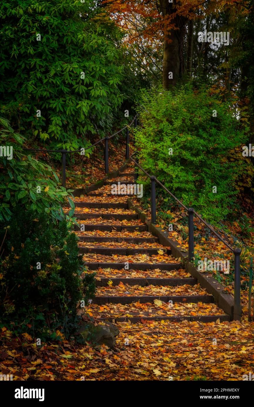 An idyllic scene featuring a set of stairs leading up to a lush ...