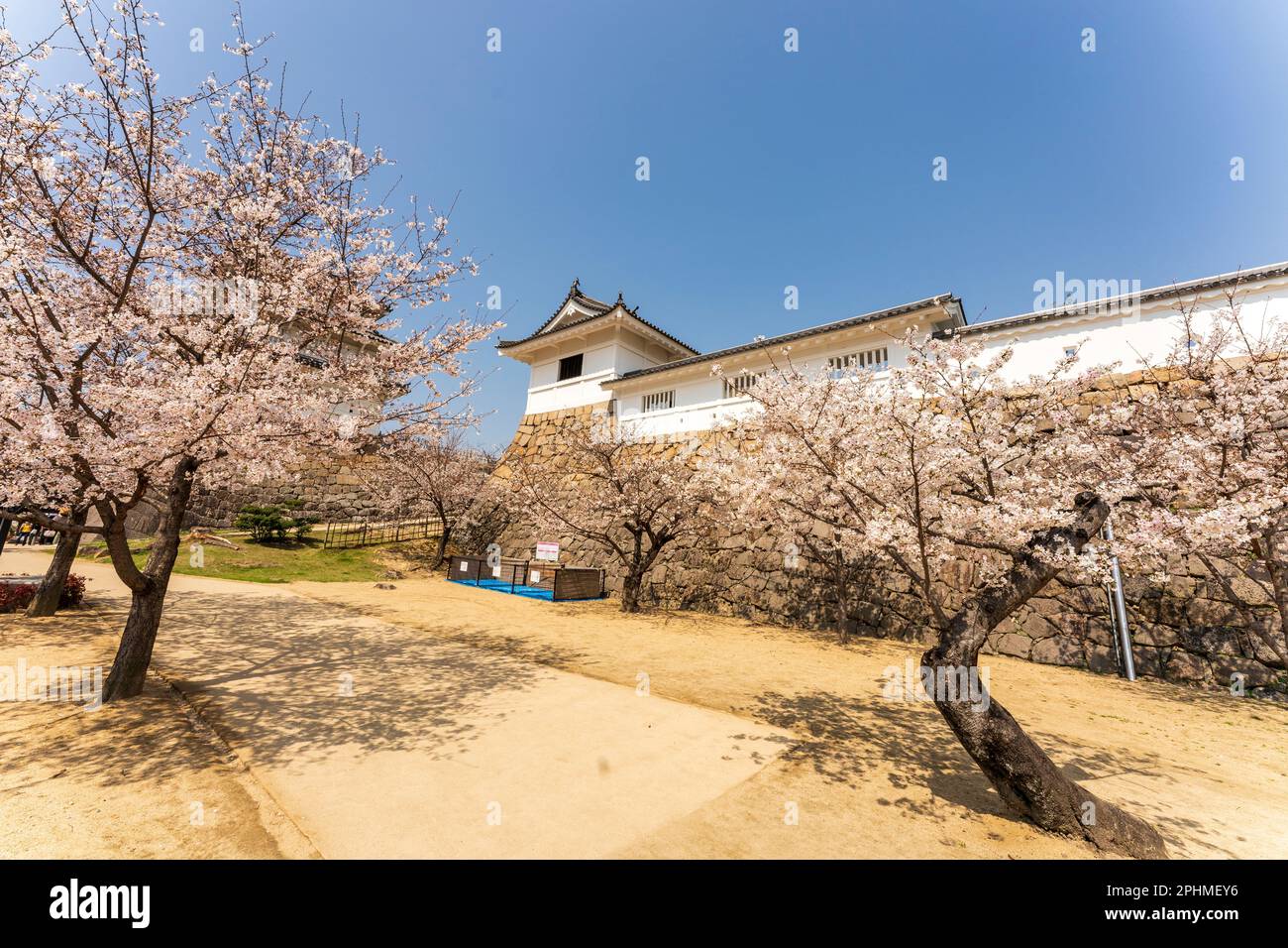 Japanese castle, Fukuyama, with springtime cherry blossoms and clear ...