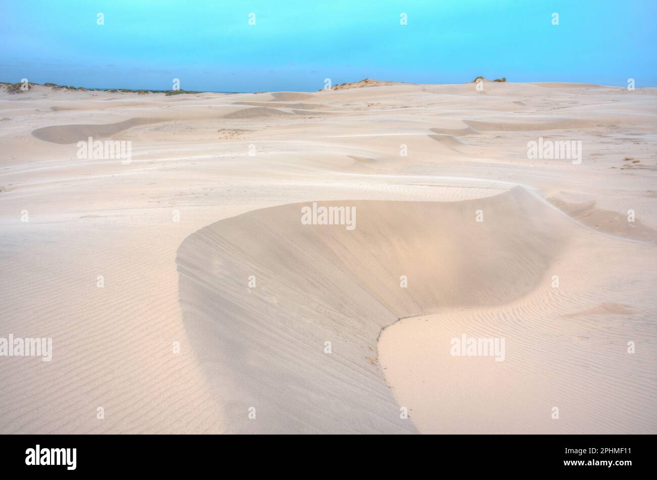 Rabjerg Mile sand dunes in Denmark Stock Photo - Alamy
