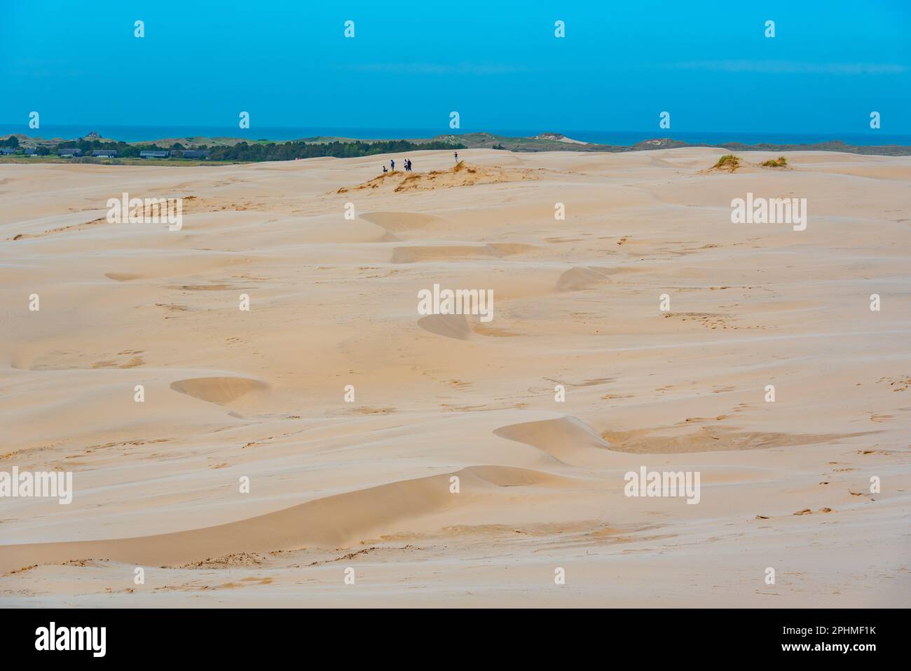 Rabjerg Mile sand dunes in Denmark Stock Photo - Alamy