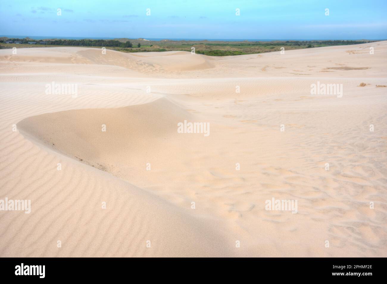 Rabjerg Mile sand dunes in Denmark Stock Photo - Alamy