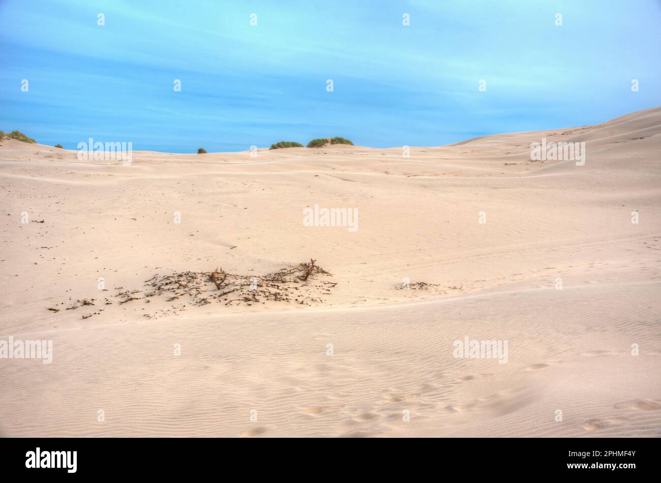 Rabjerg Mile sand dunes in Denmark Stock Photo - Alamy