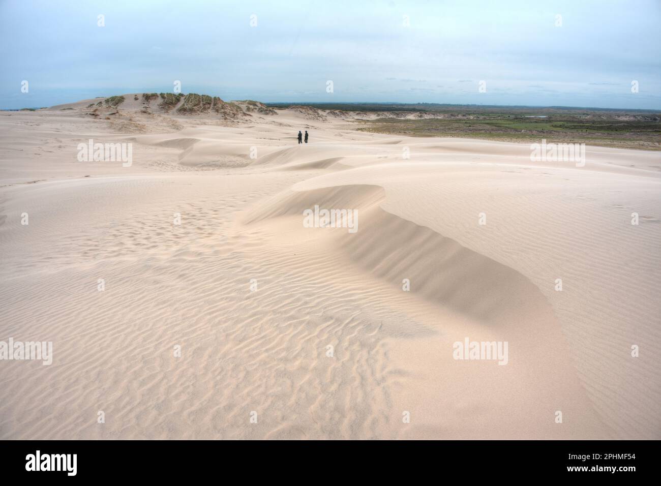 Rabjerg Mile sand dunes in Denmark Stock Photo - Alamy