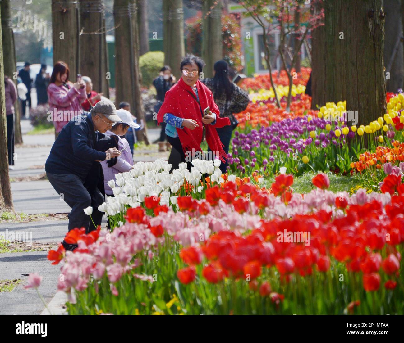 Chongming Flower Festival is held at Dongping National Forest Park in ...