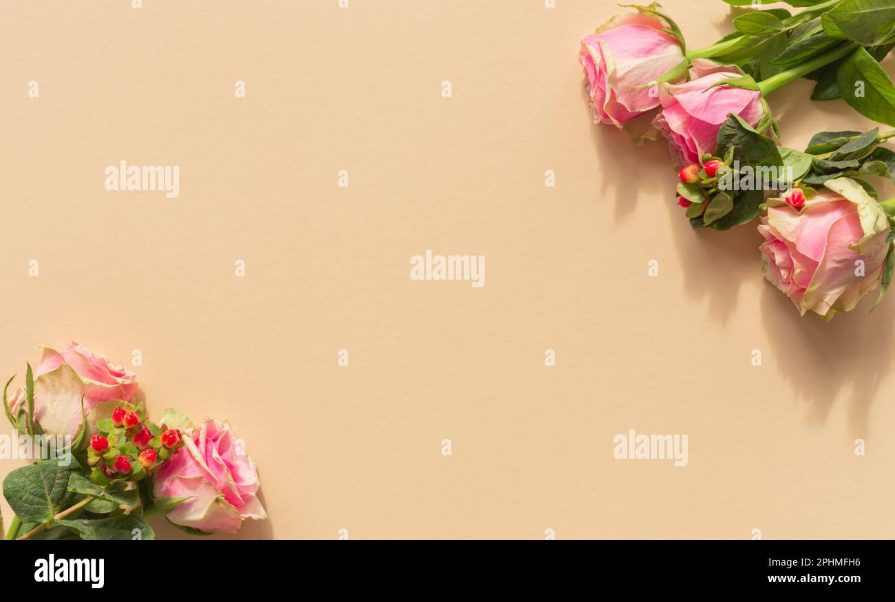 Fresh colorful Roses on pastel beige background. Creative love layout ...