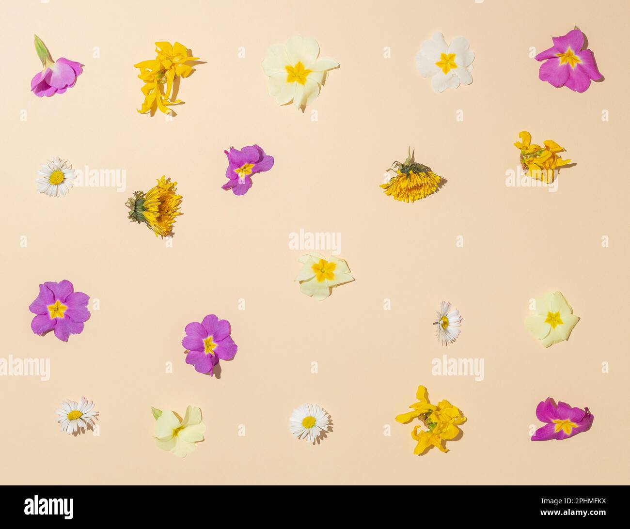 Pattern made with fresh Spring colorful flowers on beige Background ...