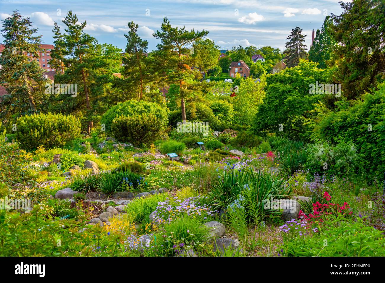 Aarhus botanical garden in Denmark Stock Photo - Alamy