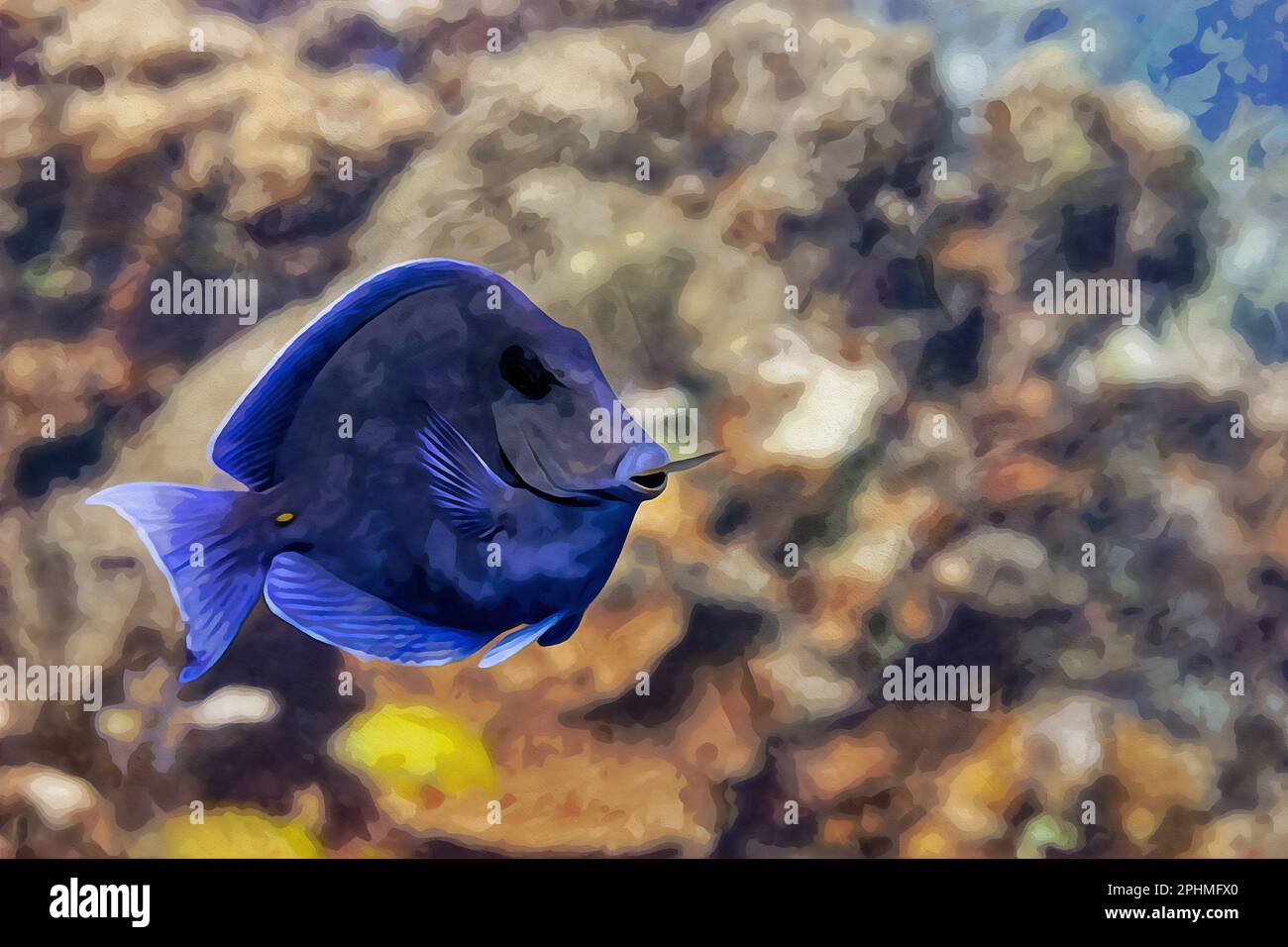 Digitally created watercolor painting of Blue tang surgeonfish ...
