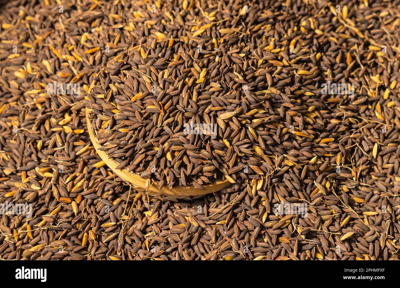 black paddy rice seeds in bamboo bowl from top angle at day Stock Photo ...