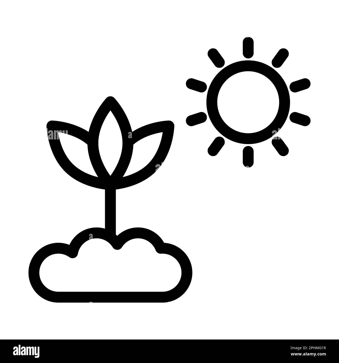 Photosynthesis Vector Thick Line Icon For Personal And Commercial Use ...