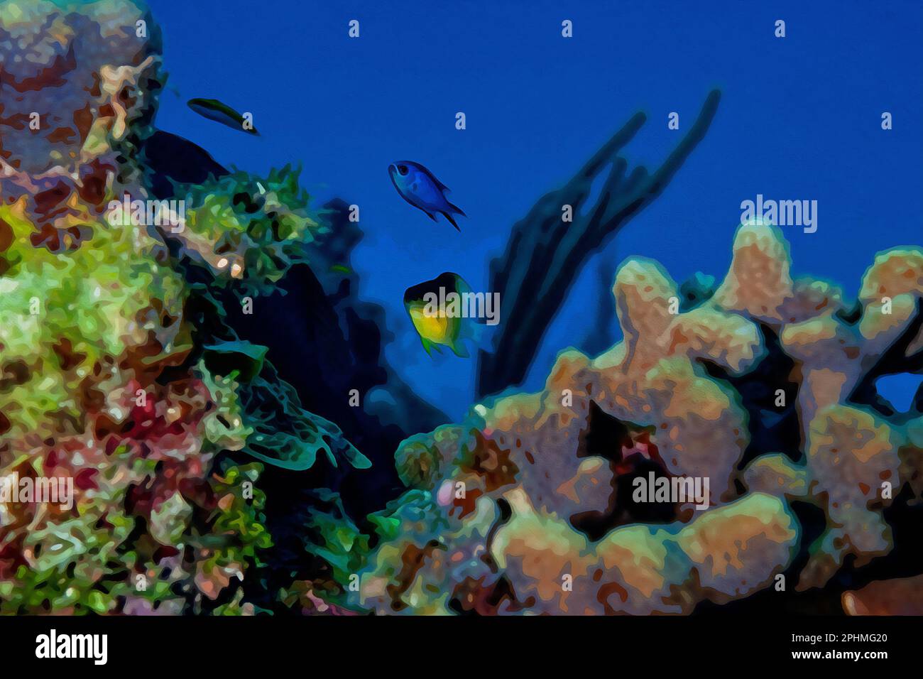 Digitally created watercolor painting of a bicolor damsel fish swimming ...