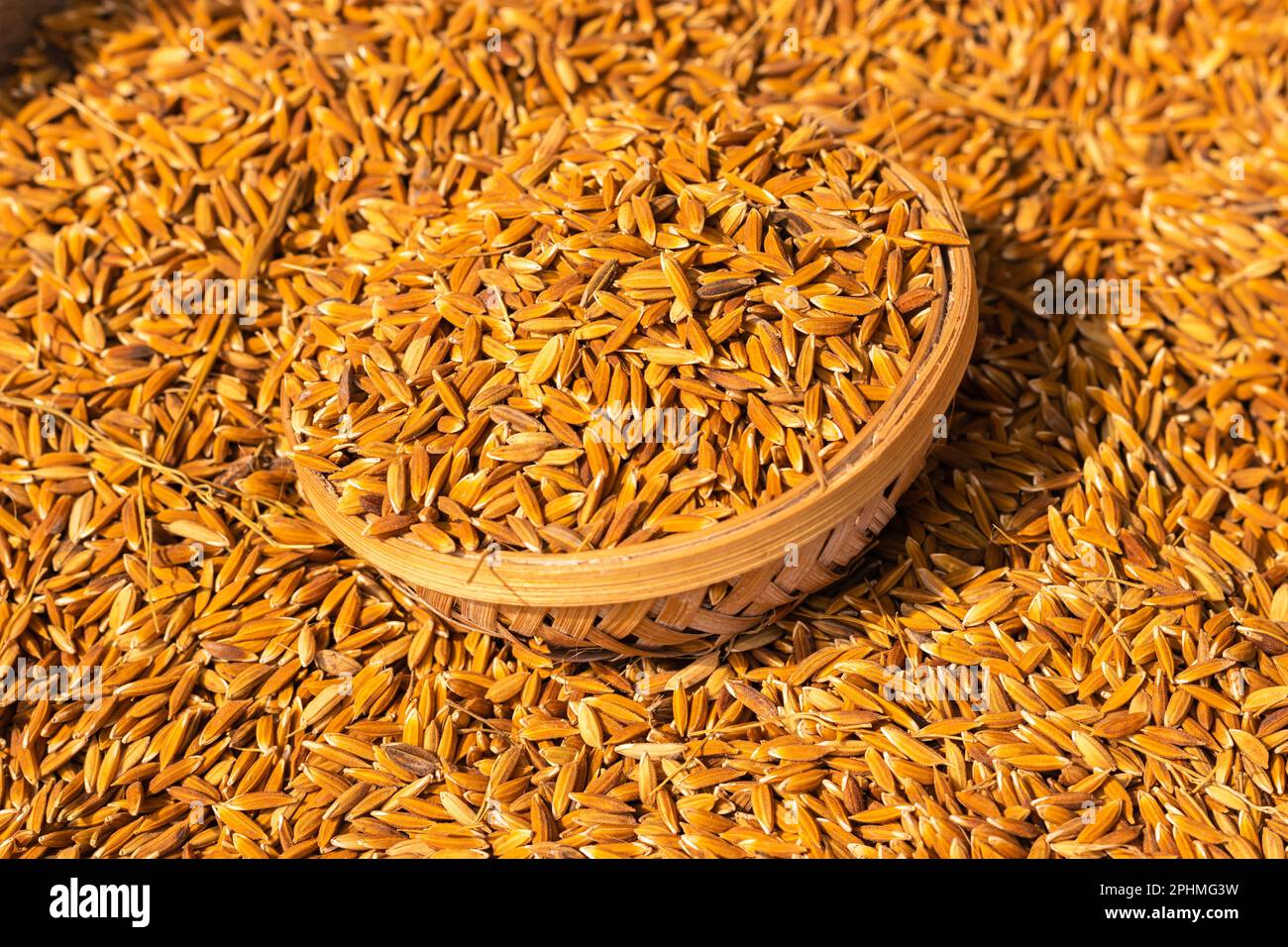 paddy rice seeds in bamboo bowl from top angle at day Stock Photo - Alamy