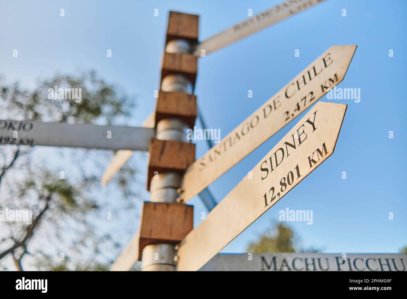 Signpost to the world, World travel signpost, directions signpost with ...