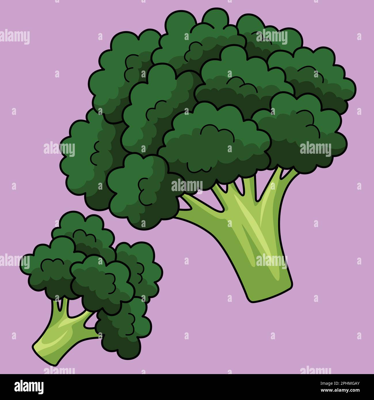 Broccoli Vegetable Colored Cartoon Illustration Stock Vector Image ...