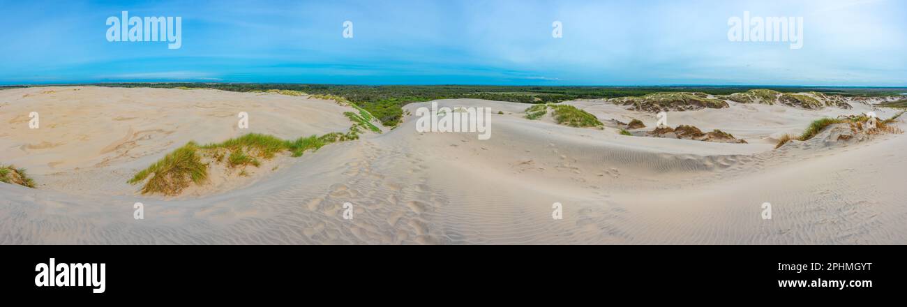 Råbjerg Mile sand dunes in Denmark Stock Photo - Alamy