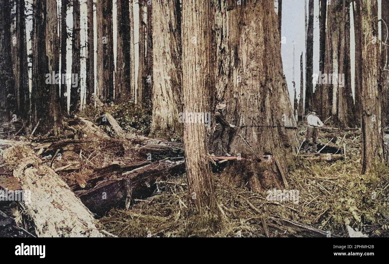 Historical logging hi-res stock photography and images - Alamy