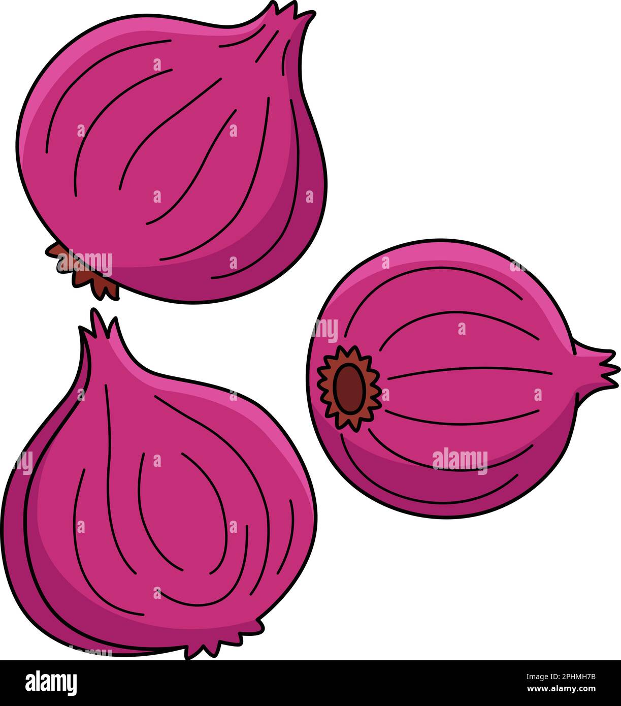 Onion Clip Art Cartoon Onion Black And White Stock Photos & Images