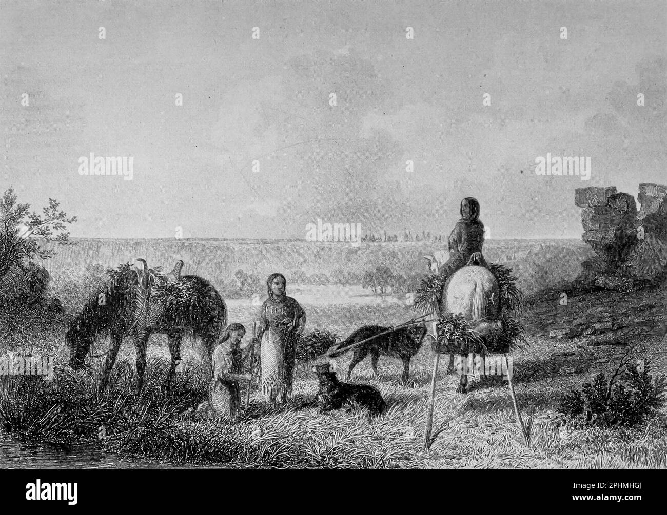 Starlight nation hi-res stock photography and images - Alamy