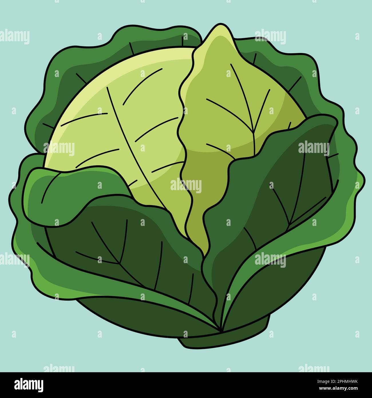 Cabbage Vegetable Colored Cartoon Illustration Stock Vector Image And Art