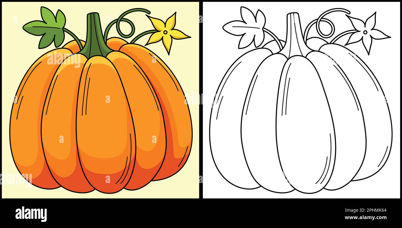 Pumpkin Vegetable Coloring Page Illustration Stock Vector Image & Art ...