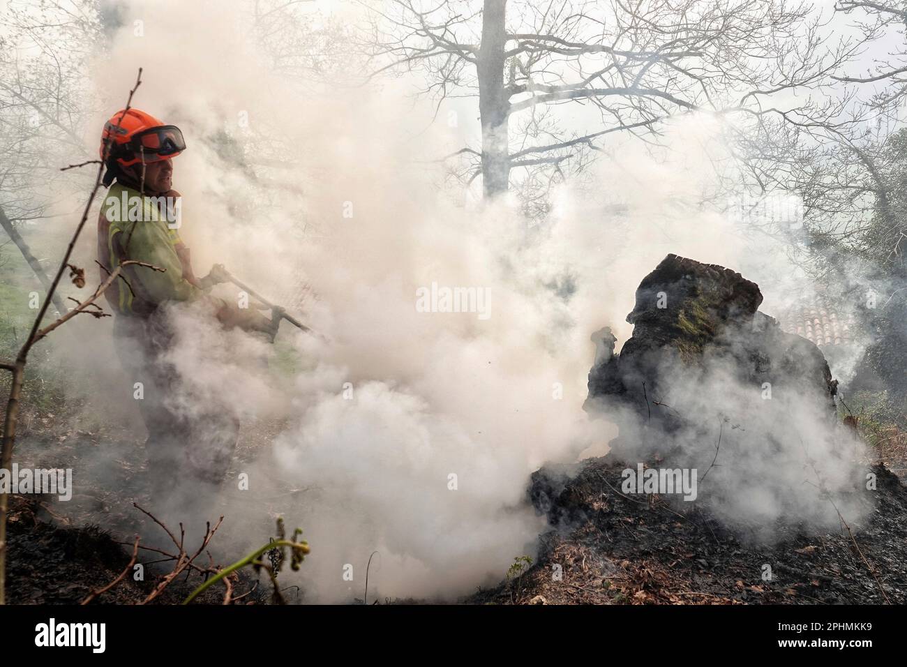 Firefighters from Asturias work in the extinction of a forest fire, on ...