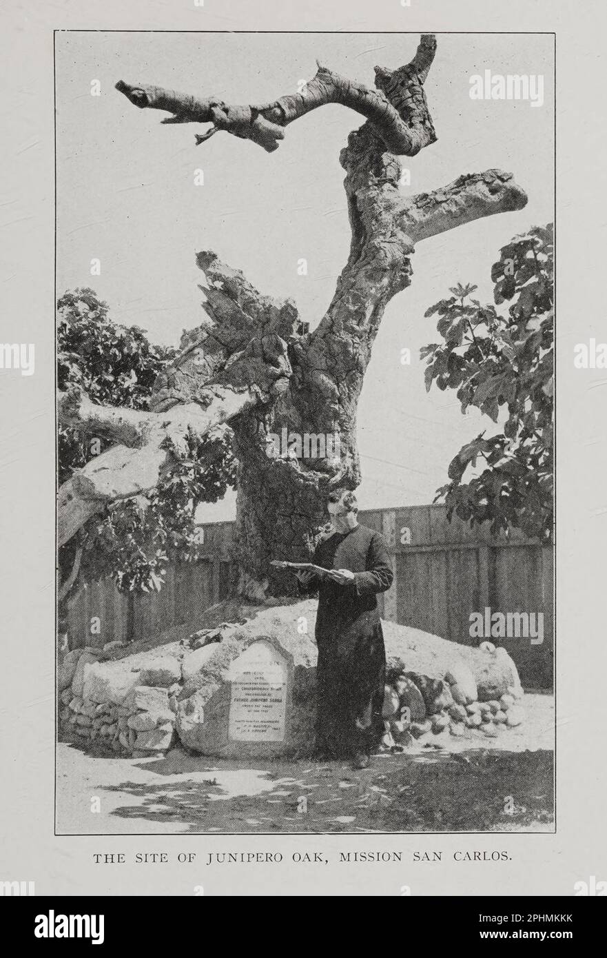 The Site of the Junipero Oak Mission San Carlos [ The Vizcaíno-Serra ...