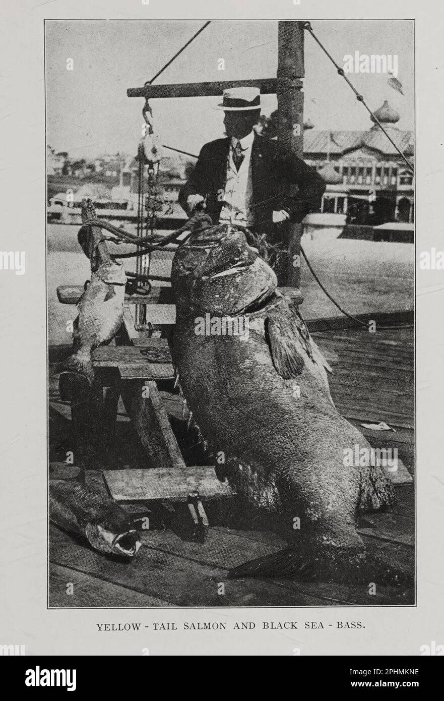 Vintage salmon usa black and white hi-res stock photography and images ...