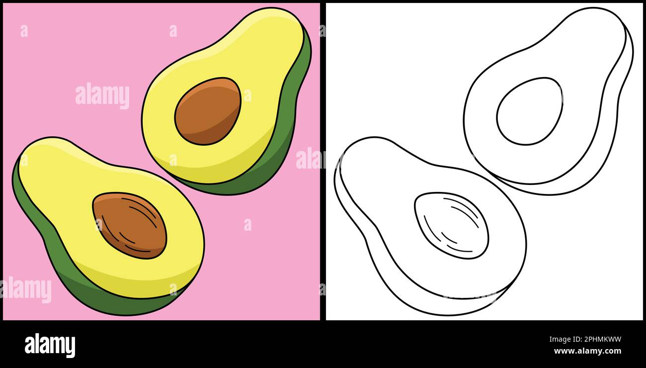 Half Avocado Fruit Coloring Page Illustration Stock Vector Image & Art ...