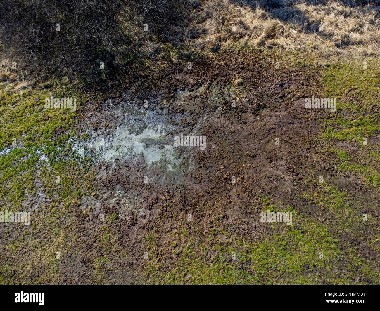 Aerial view of damage of wild boar in a meadow Stock Photo - Alamy