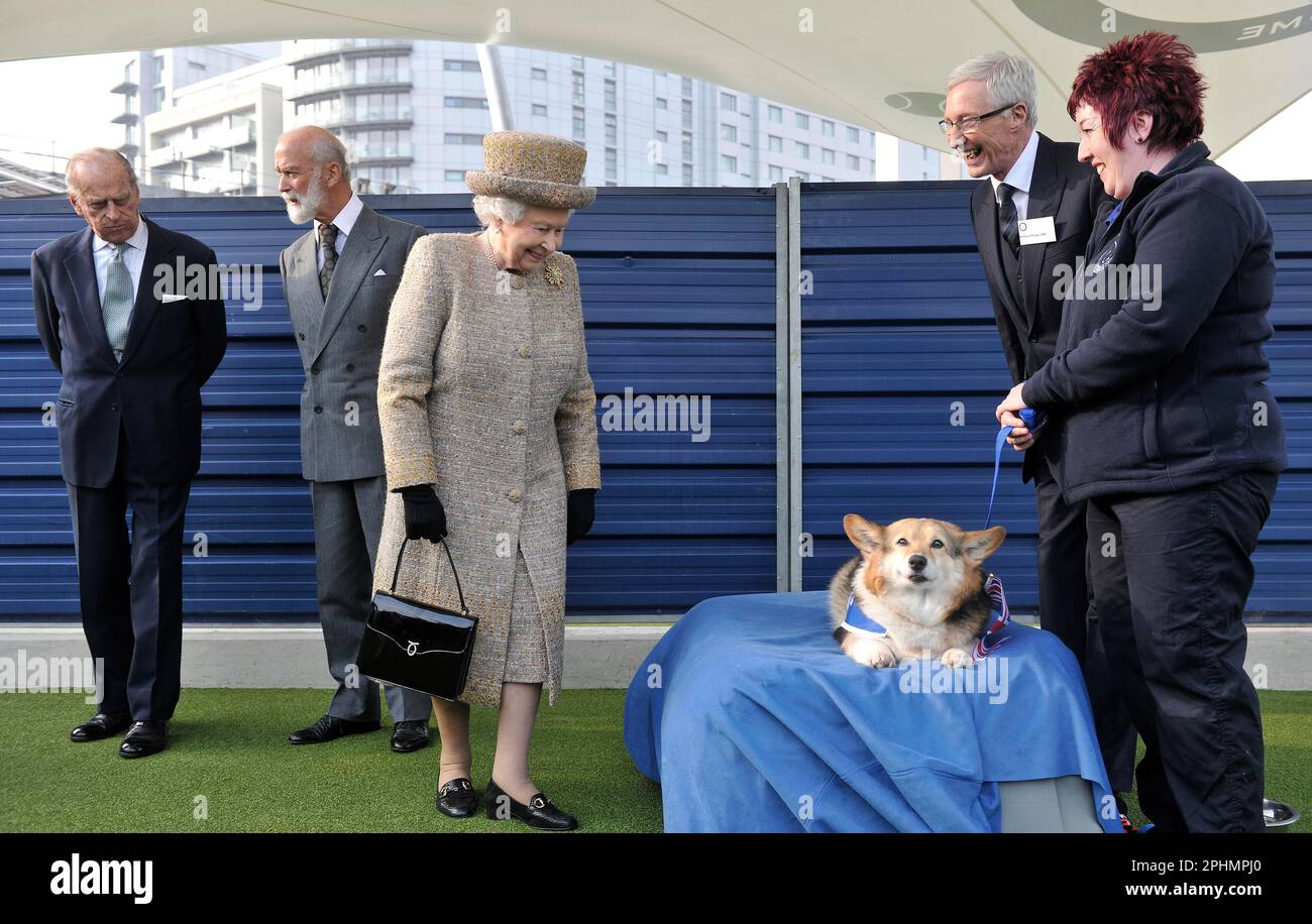 Picture by Simon Wilkinson/SWpix.com - 17/03/2015 - Battersea Dog ...