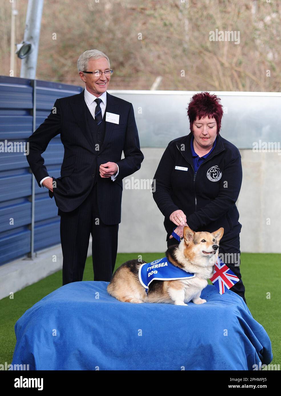 Paul grady dogs hi-res stock photography and images - Alamy