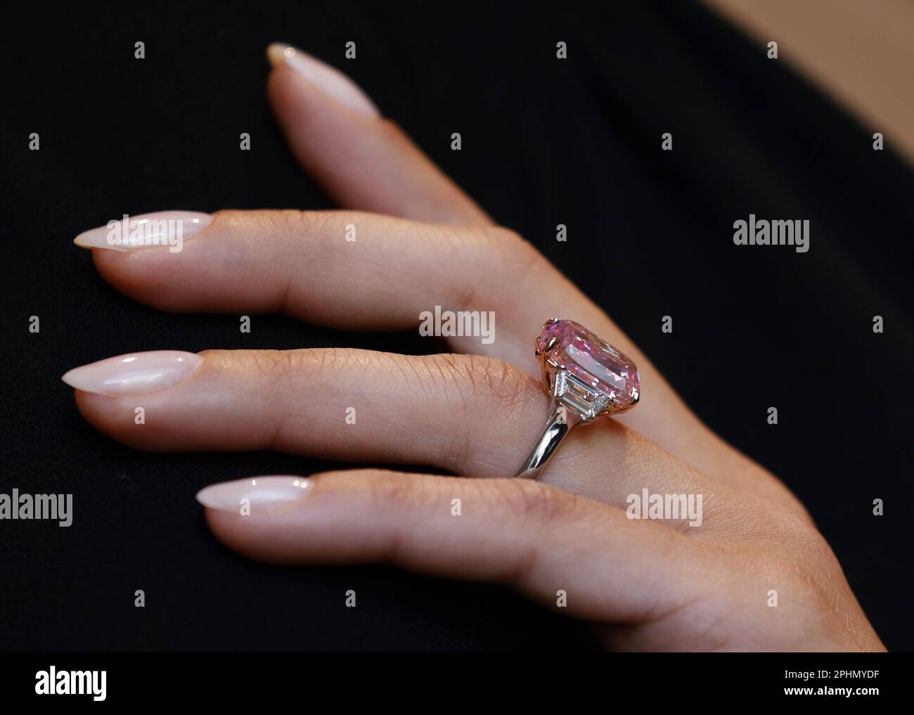 New York, United States. 27th Mar, 2023. The Eternal Pink, a ...