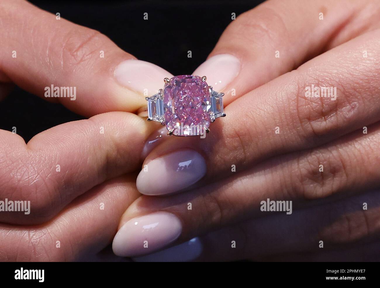 New York, United States. 27th Mar, 2023. The Eternal Pink, a ...