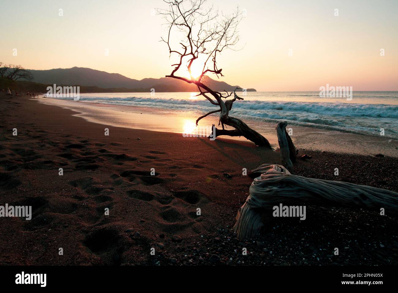 Driftwood in the ocean hi-res stock photography and images - Alamy