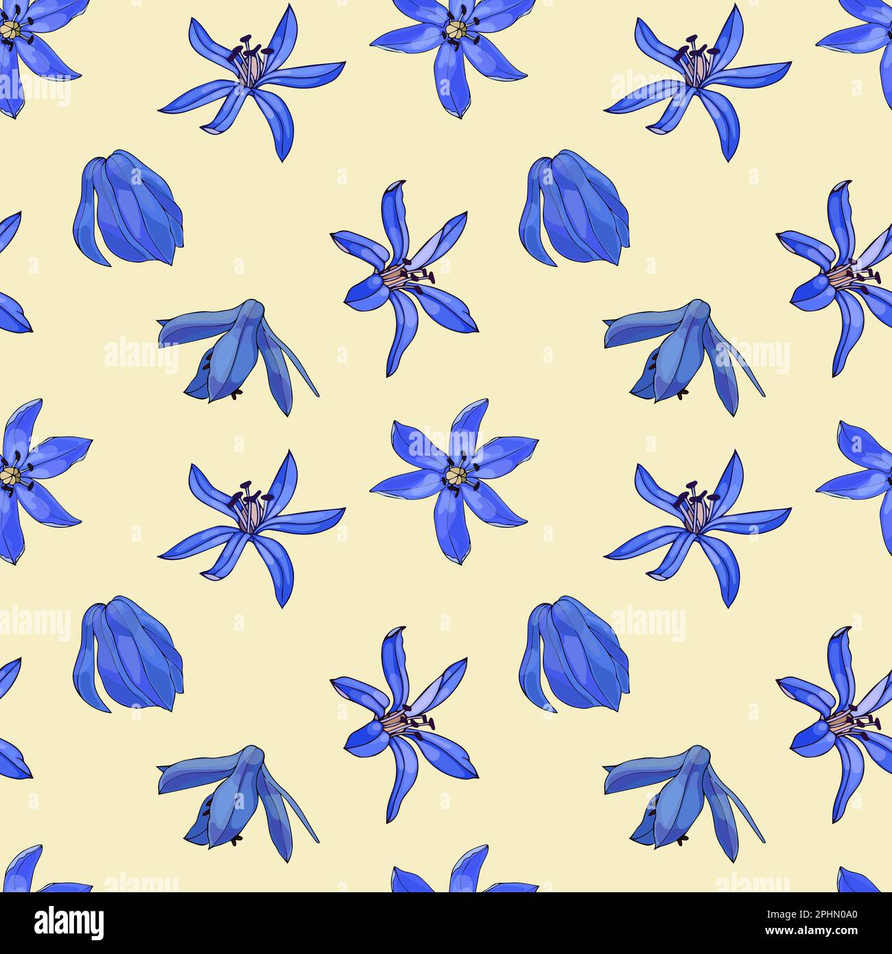 Bluebell flower buds Stock Vector Images - Alamy