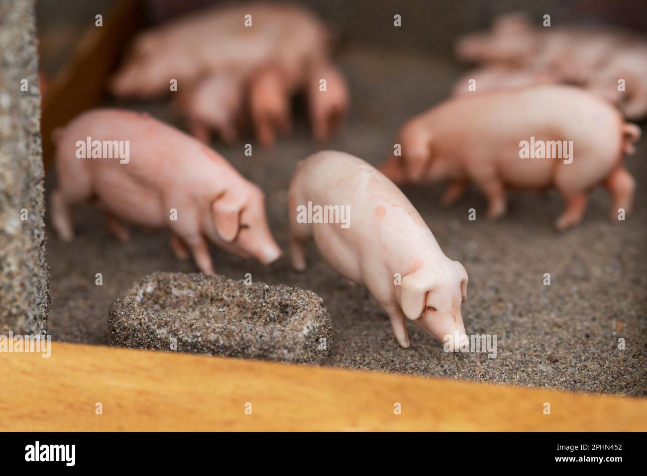 Pigs Miniature Toy Farm Animals Stock Photo - Alamy