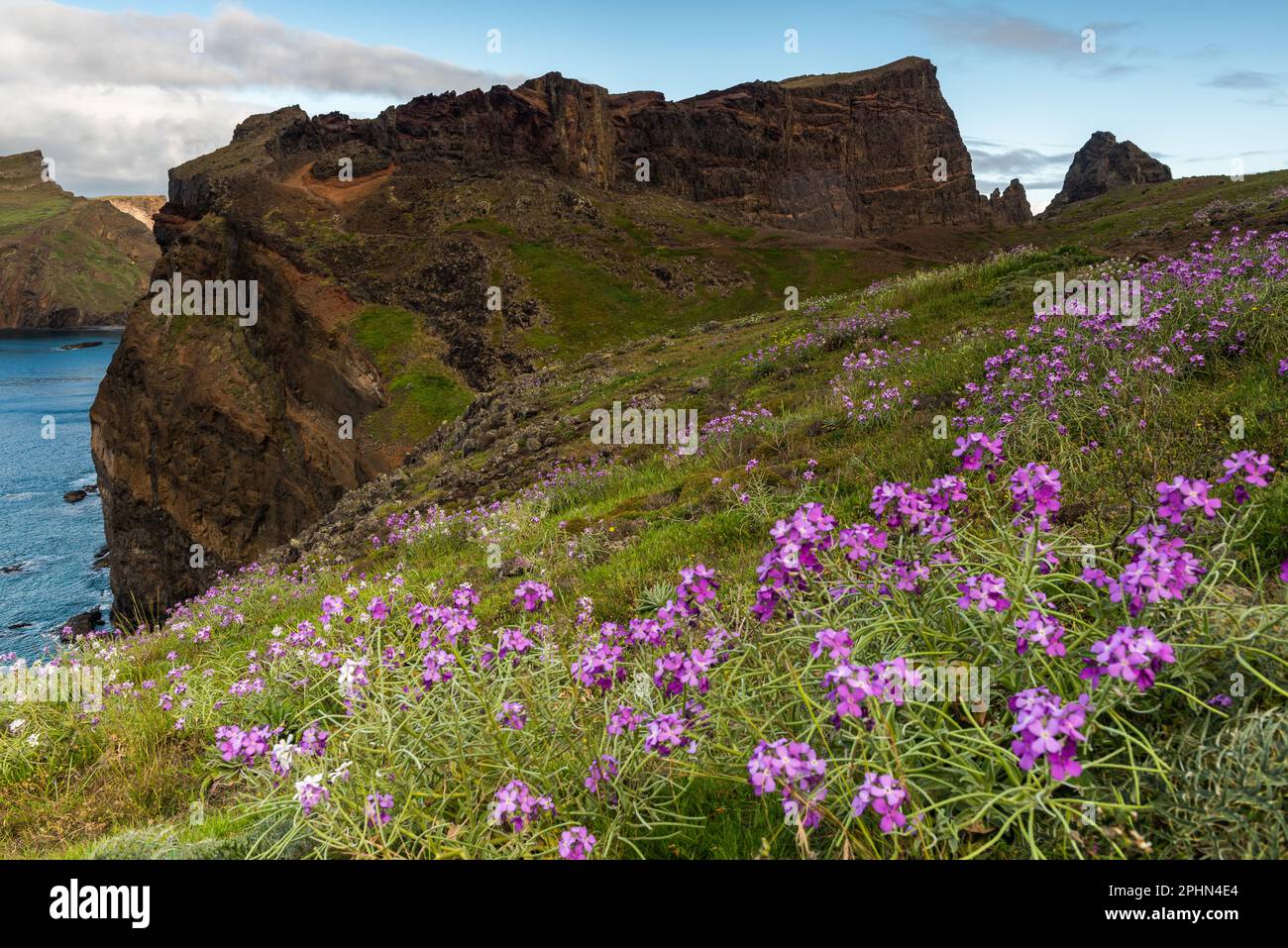 Madeira spring coast flowers hi-res stock photography and images - Alamy