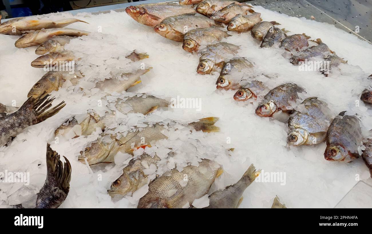 Fresh chilled fish, lying in ice on the window in the supermarket Stock ...