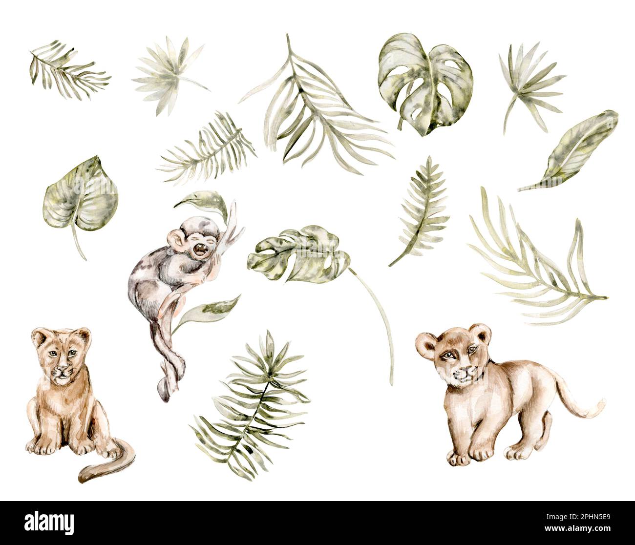 Watercolor hand drawn illustration from the jungle animals and a palm ...