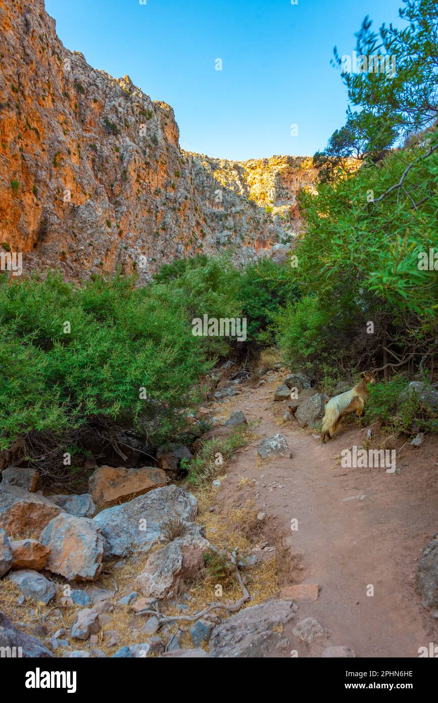 View of Zakros Gorge at Greek island Crete Stock Photo - Alamy