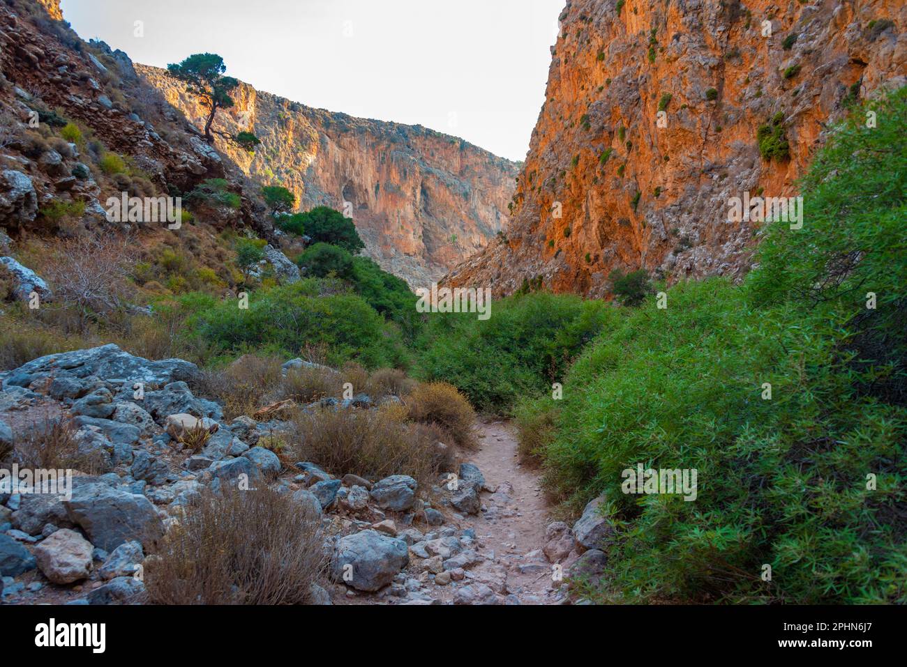 View of Zakros Gorge at Greek island Crete Stock Photo - Alamy