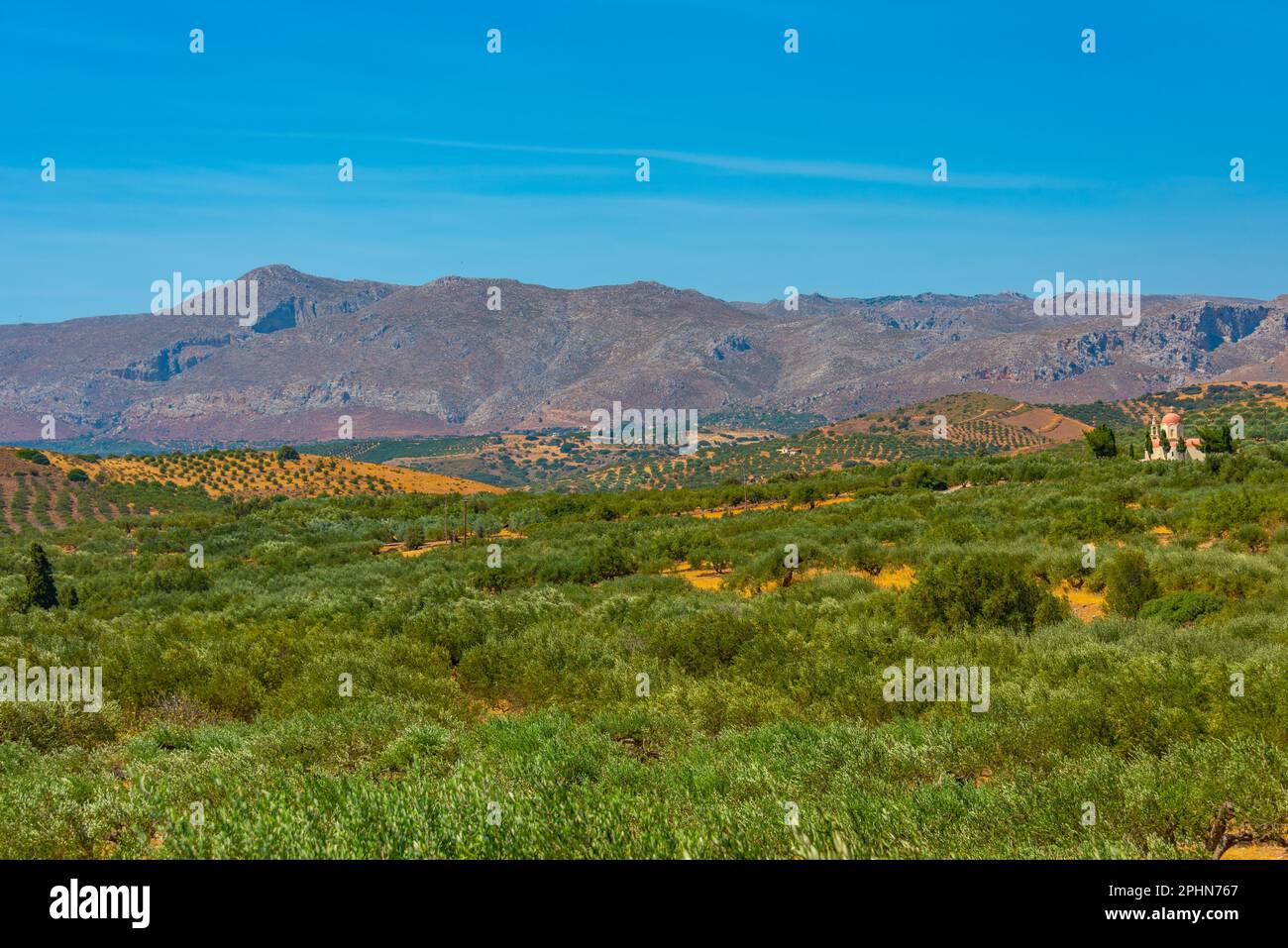 Olive orchards at countryside of Greek island Crete Stock Photo - Alamy