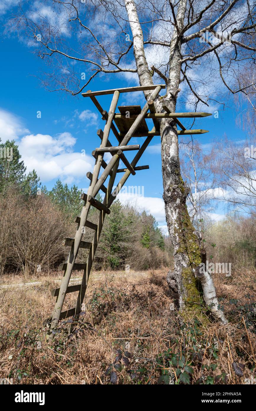 High deer shooting platform hi-res stock photography and images - Alamy