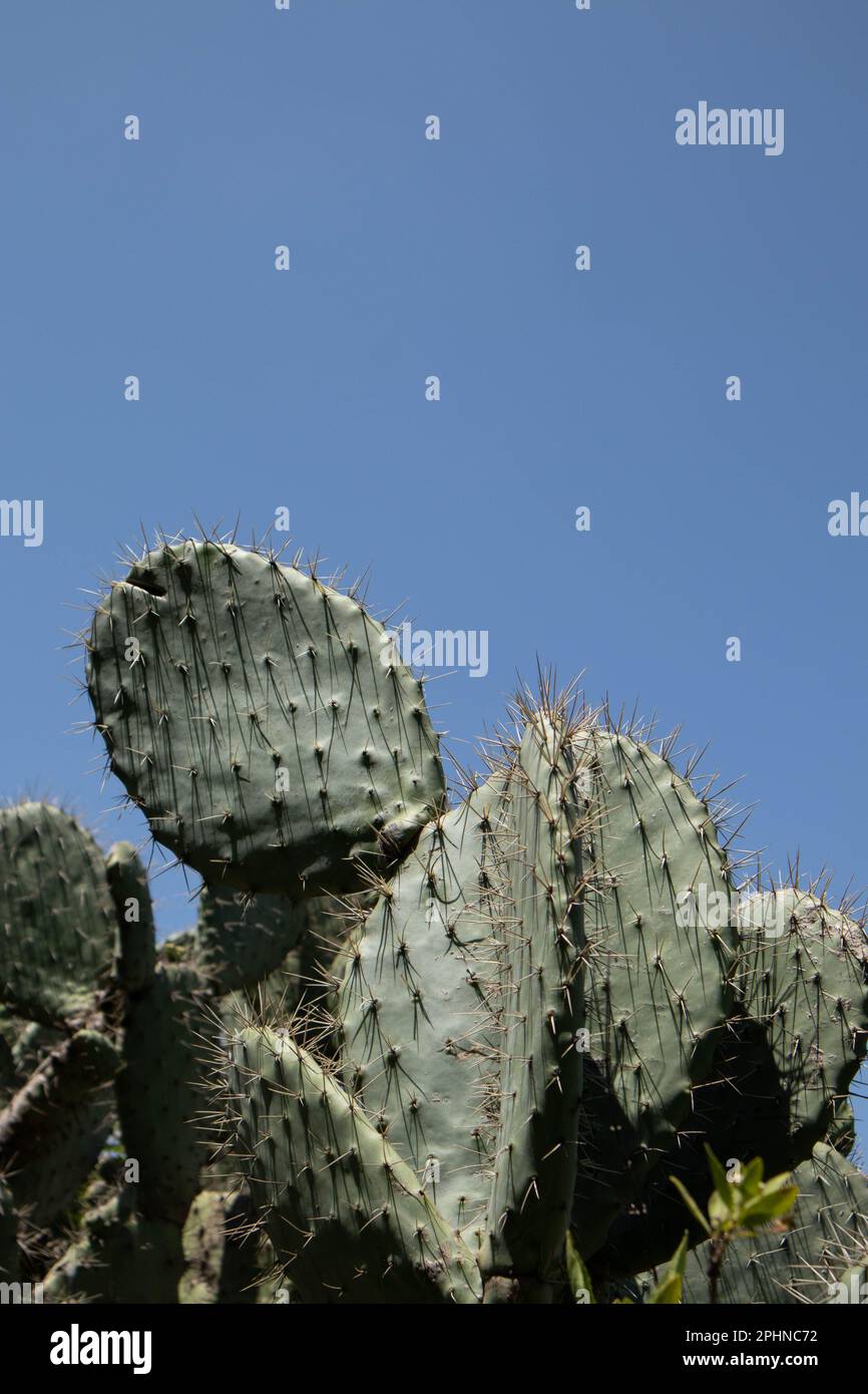 Sky background hd hi-res stock photography and images - Alamy